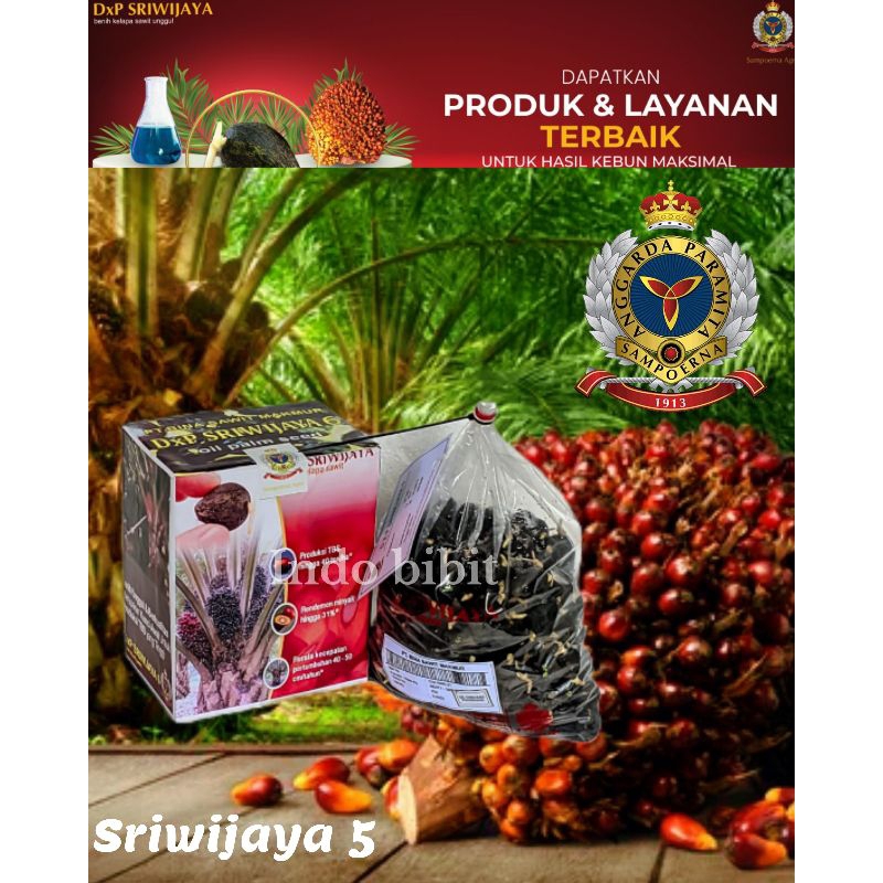 Jual Bibit sawit bersertifikat (sriwijaya 5/6/sofindo/topaz/damimas ...