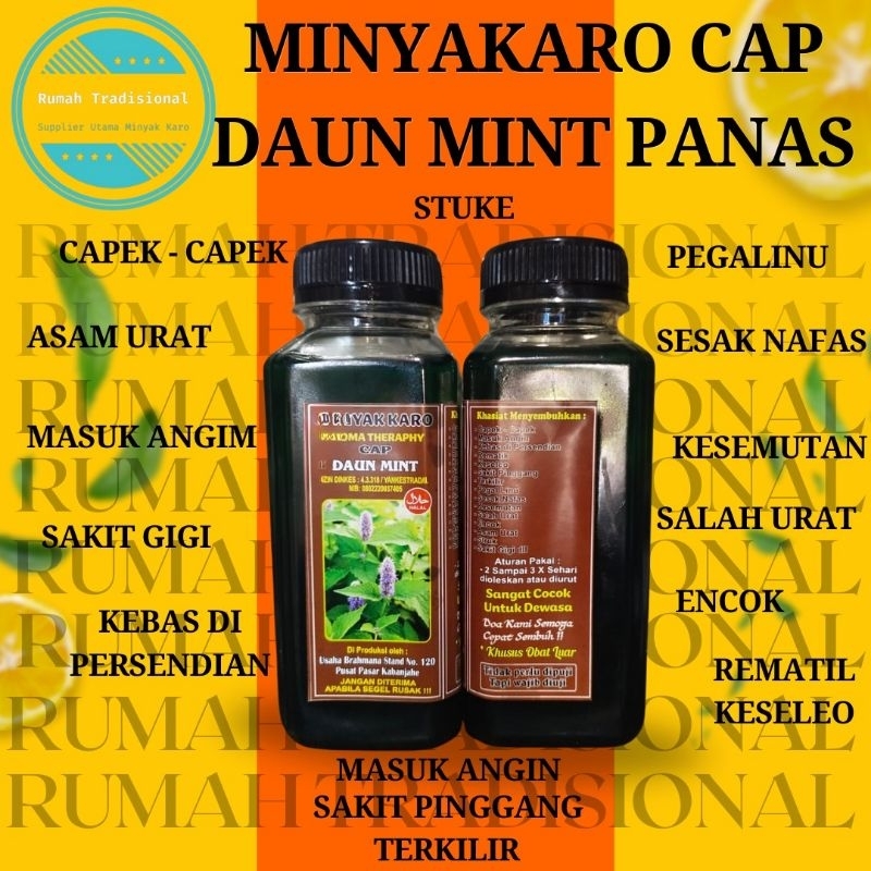 Jual Minyak Karo Cap Daun Mint, dewasa | Shopee Indonesia
