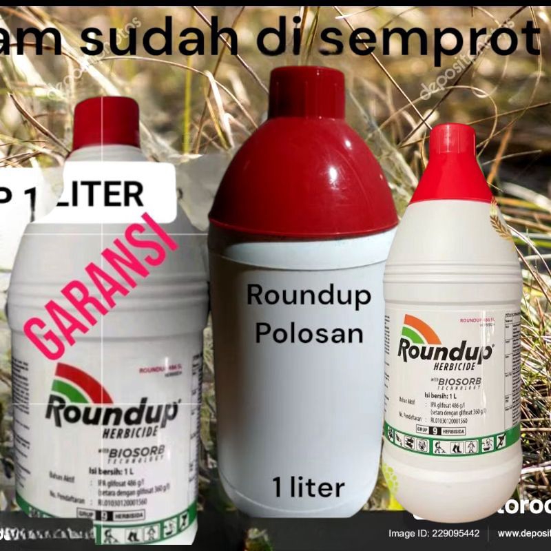 Jual Herbisida Roundup Sistemik Pembasmi Rumput 1 Liter / ROUNDUP ...
