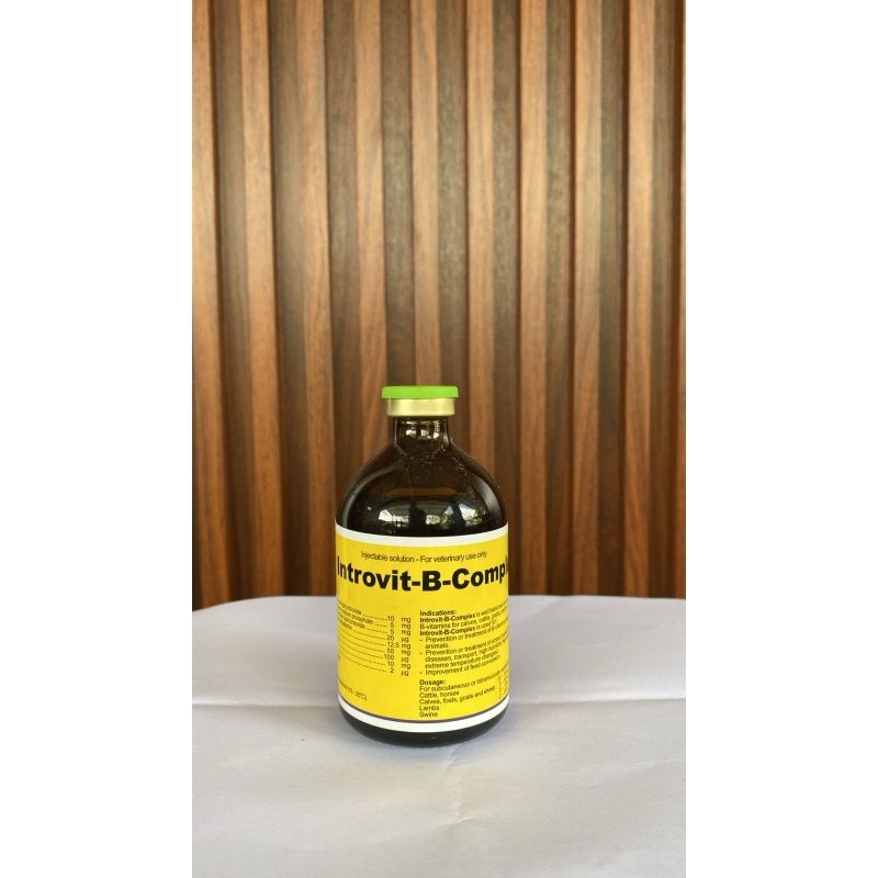 Jual INTROVIT B COMPLEX 100ml Original - (KONSENTRASI TINGGI DAN BIOTIN ...