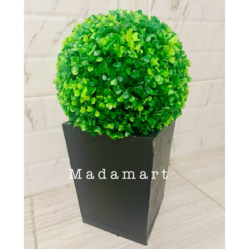 Jual Bonai Graball Taman Deorai Taman Ruangan Dengan Pot Jumbo | Shopee ...