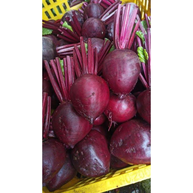 Jual Buah Bit Segar 1kg - Fres Beetroot Organik | Shopee Indonesia