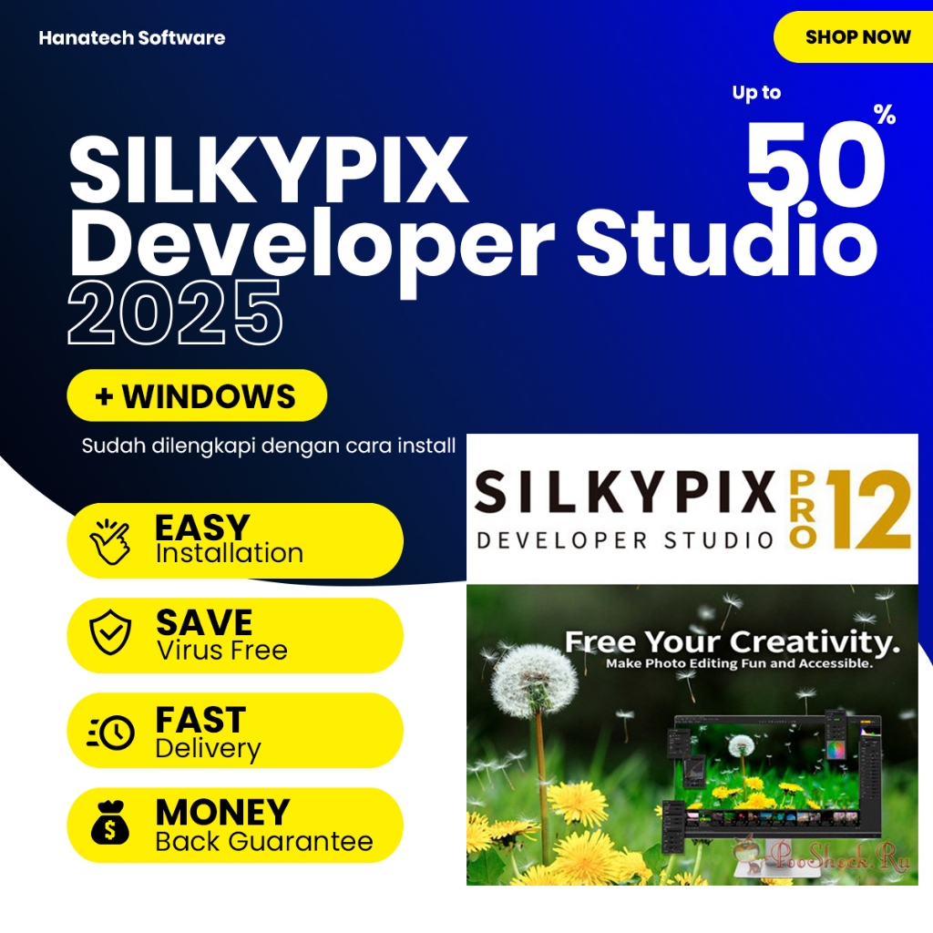 Jual SILKYPIX Developer Studio Pro 2025 Latest Full Version | Lifetime ...