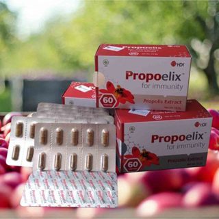 Jual Propoelix 200mg ( Suplemen Imunitas & Penyembuhan Pandemi - Madu ...