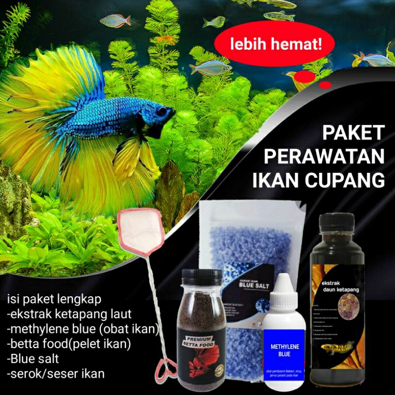 Jual Paket Perawatan Ikan Cupang Pertumbuhan dan Mutasi Warna | Shopee ...