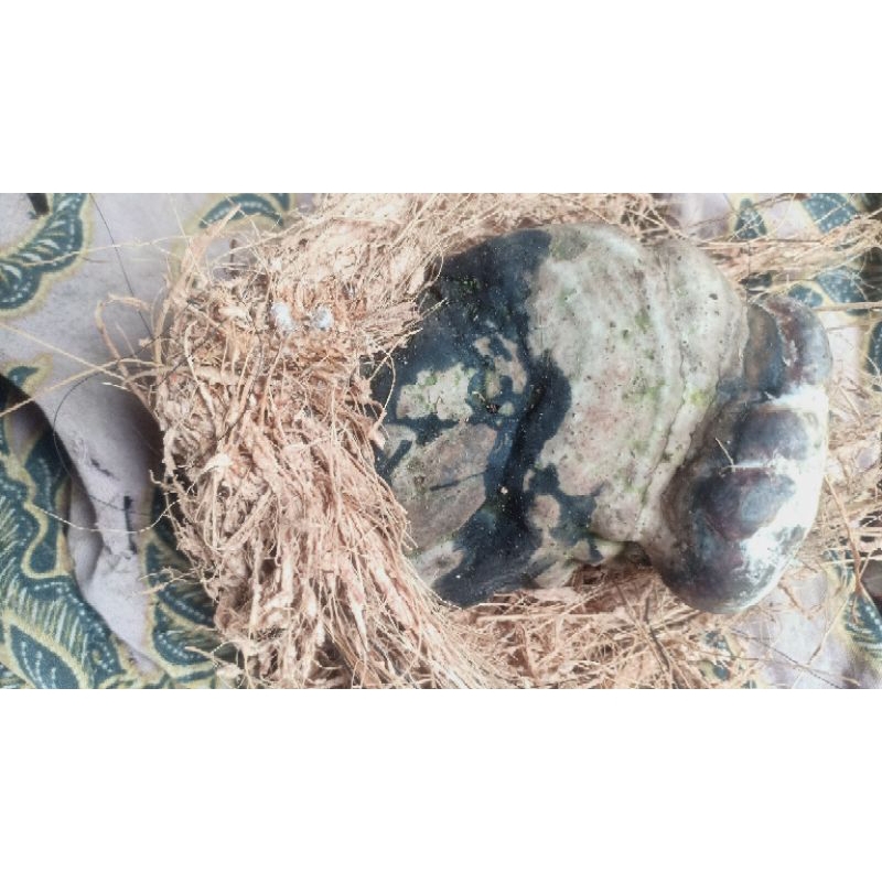 Jual POSIL SEJODOH | Shopee Indonesia
