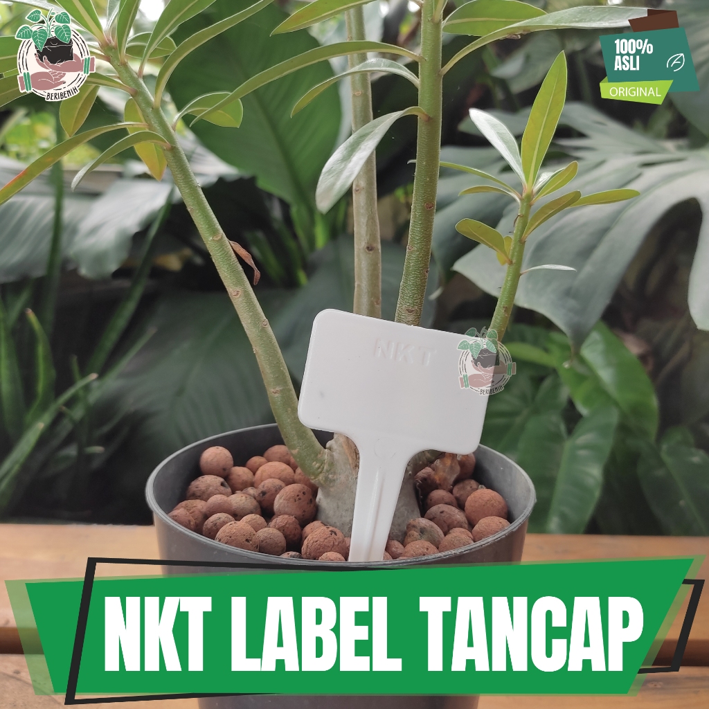 Jual Label Tag Tanaman Hias Bunga Buah TANCAP Tanda Nama Tanggal Tanam Pot Label Tag Tanaman ...