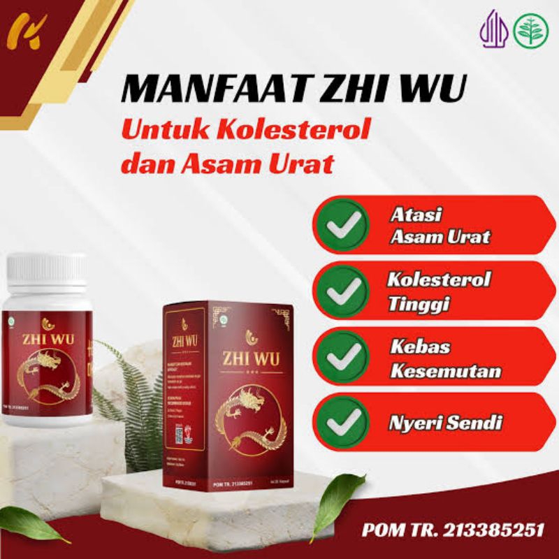 Jual 𝗭𝗛𝗜𝗪𝗨 𝗢𝗥𝗜𝗚𝗜𝗡𝗔𝗟 𝟯𝟬 & 𝟲𝟬 𝗞𝗔𝗣𝗦𝗨𝗟 𝗢𝗕𝗔𝗧 𝗔𝗦𝗔𝗠 𝗨𝗥𝗔𝗧 𝗥𝗘𝗠𝗔𝗧𝗜𝗞 𝗡𝗬𝗘𝗥𝗜 𝗦𝗘𝗡𝗗𝗜 ...