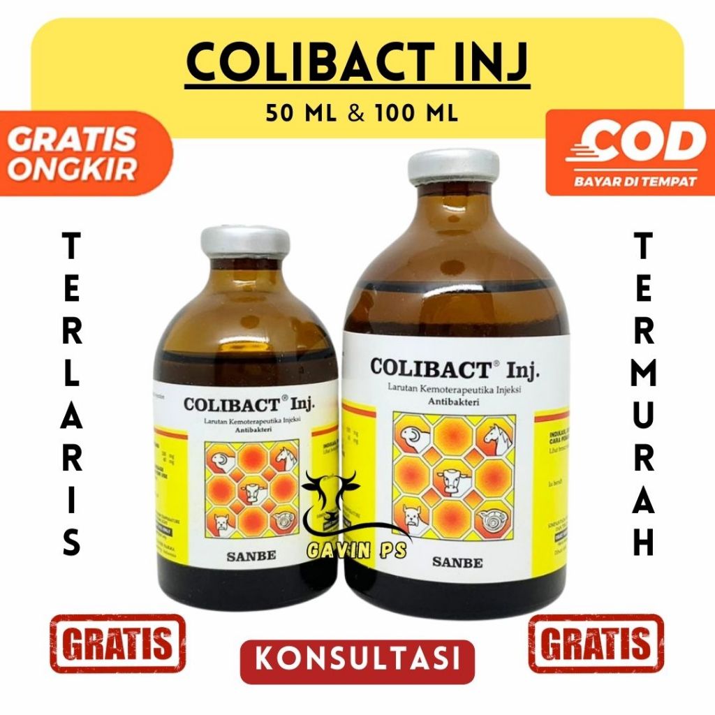 Jual COLIBACT INJ. 50ML DAN 100ML - Obat Diare dan Pernafasan Sapi ...