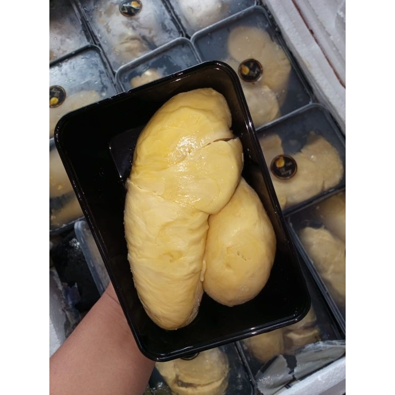 Jual DURIAN MONTONG BALI | Shopee Indonesia