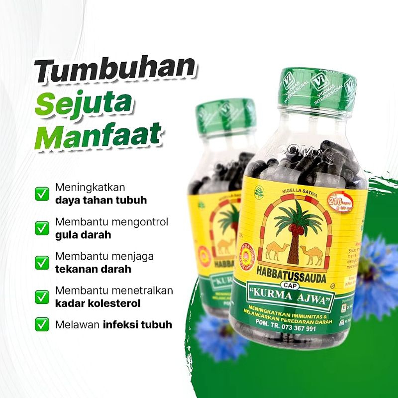 Jual HABBATUSSAUDA CAP KURMA AJWA 210 KAPSUL - JINTAN HITAM | Shopee ...