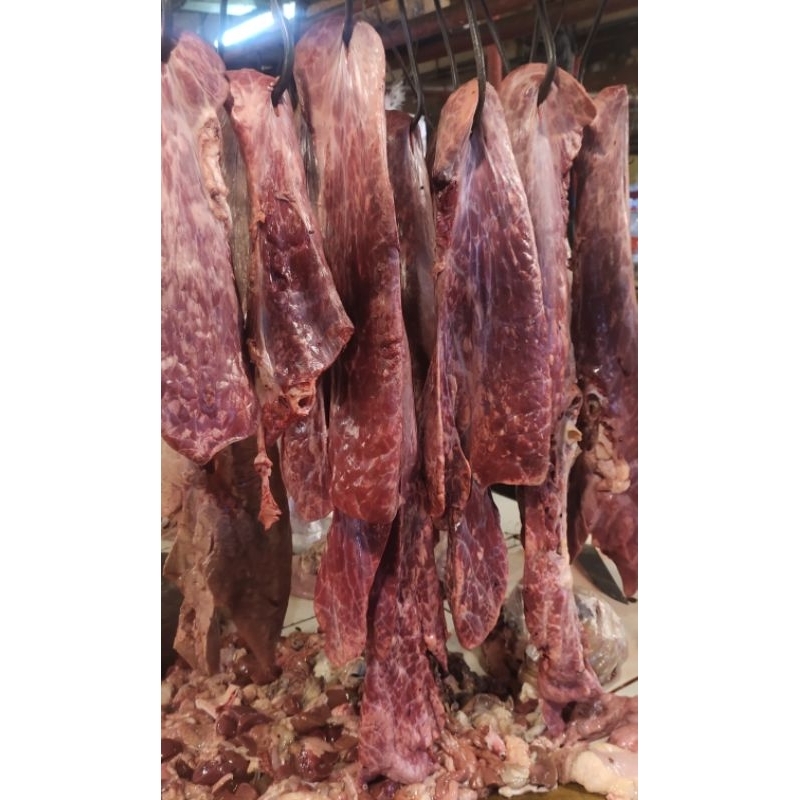 Jual Paru Sapi Lokal | Shopee Indonesia