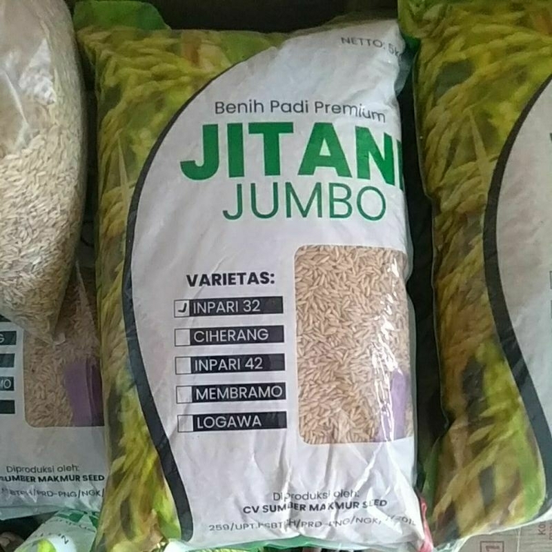 Jual benih padi premium INPARI 32 Jumbo | Shopee Indonesia
