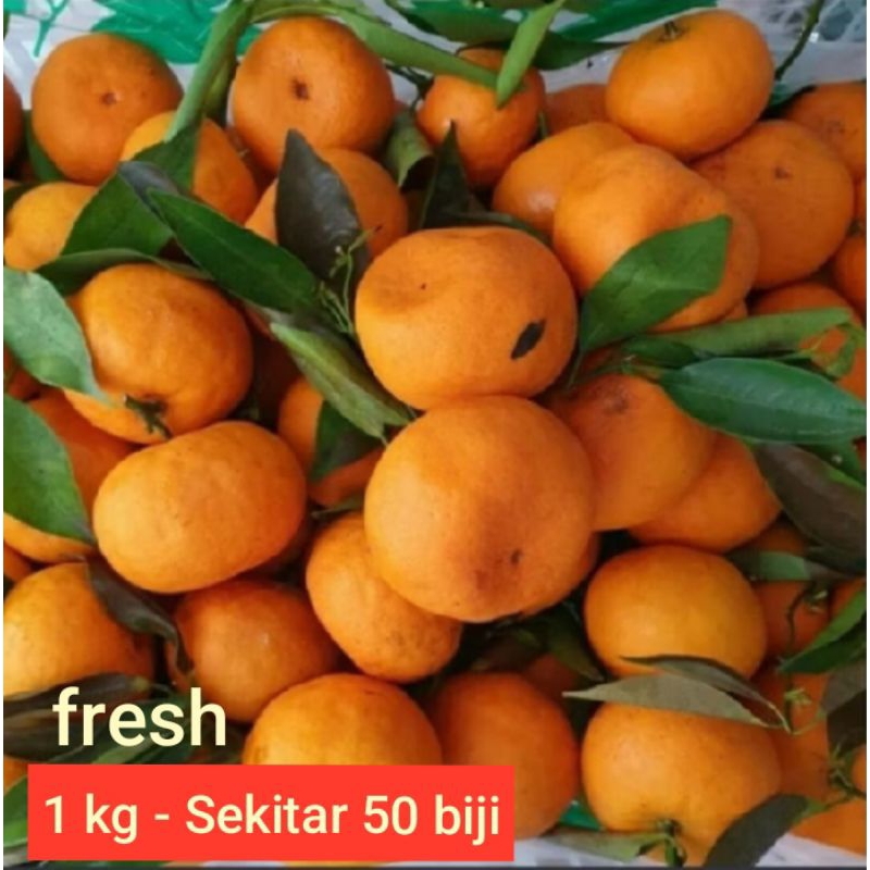 Jual JERUK MADU SANTANG IMPORT MANIS ( 1 KG SEKITAR 40 - 50 BIJI ...