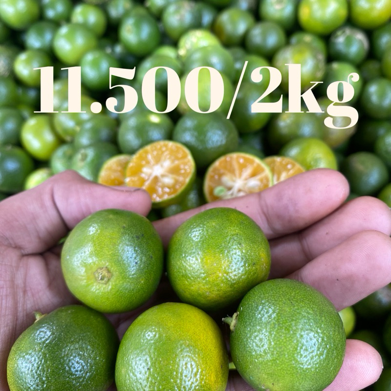 Jual Jeruk sonkit,jeruk kasturi,rasa asam | Shopee Indonesia