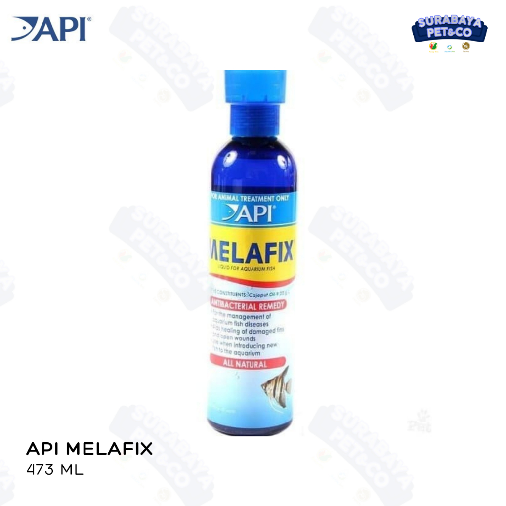 Jual API melafix 473 ml (treatment untuk infeksi bakteria) | Shopee Indonesia
