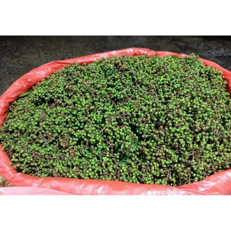Jual Andaliman / Andaliman khas Medan / Merica Khas Batak Segar ...