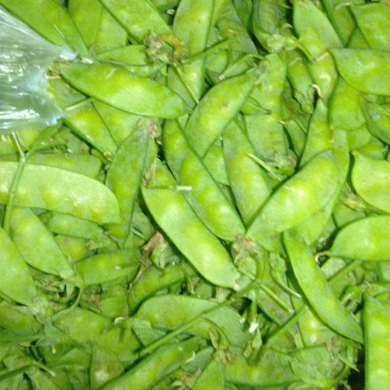Jual SAYUR KAPRI / KACANG KAPRI / ARCIS / ERCIS hijau segar | Shopee ...