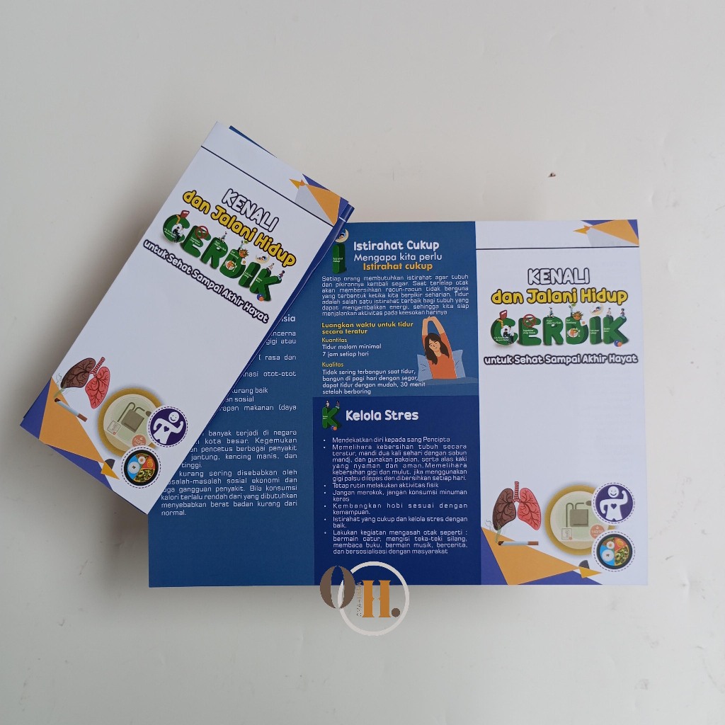 Jual Leaflet Kenali dan Jalani Hidup Cerdik - Leaflet Lansia Cerdik - Kesehatan | Shopee Indonesia