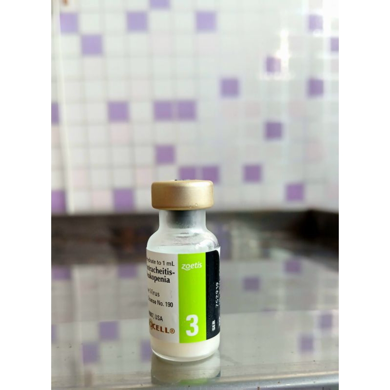 Jual fellocell kekebalan kucing tahap awal | Shopee Indonesia