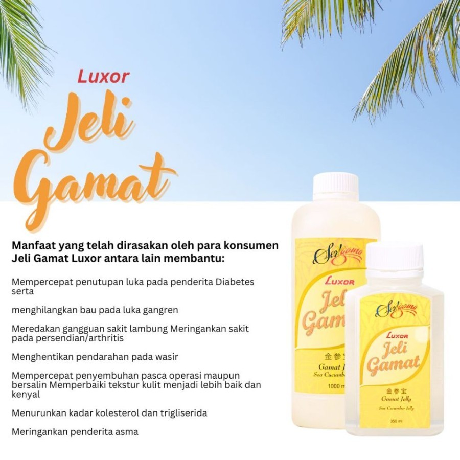 Jual Jelly Gamat Teripang Luxor 1000ML Gamat Jelly Luxor 1000 ml / 1 ...