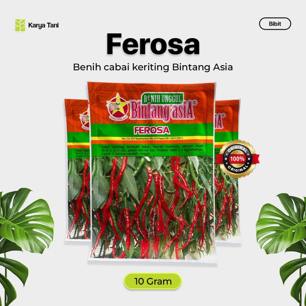Jual BENIH CABAI CABE KERITING FEROSA 10 GRAM BINTANG ASIA | Shopee ...