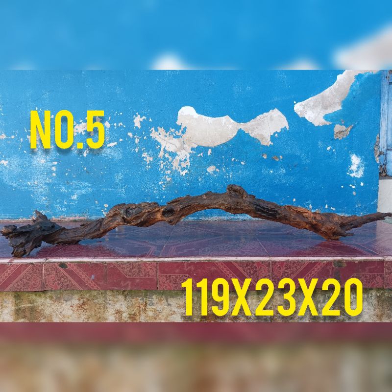 Jual Kayu Rentek Buat Aquarium / Aquascape / Kolam Ikan | Shopee Indonesia