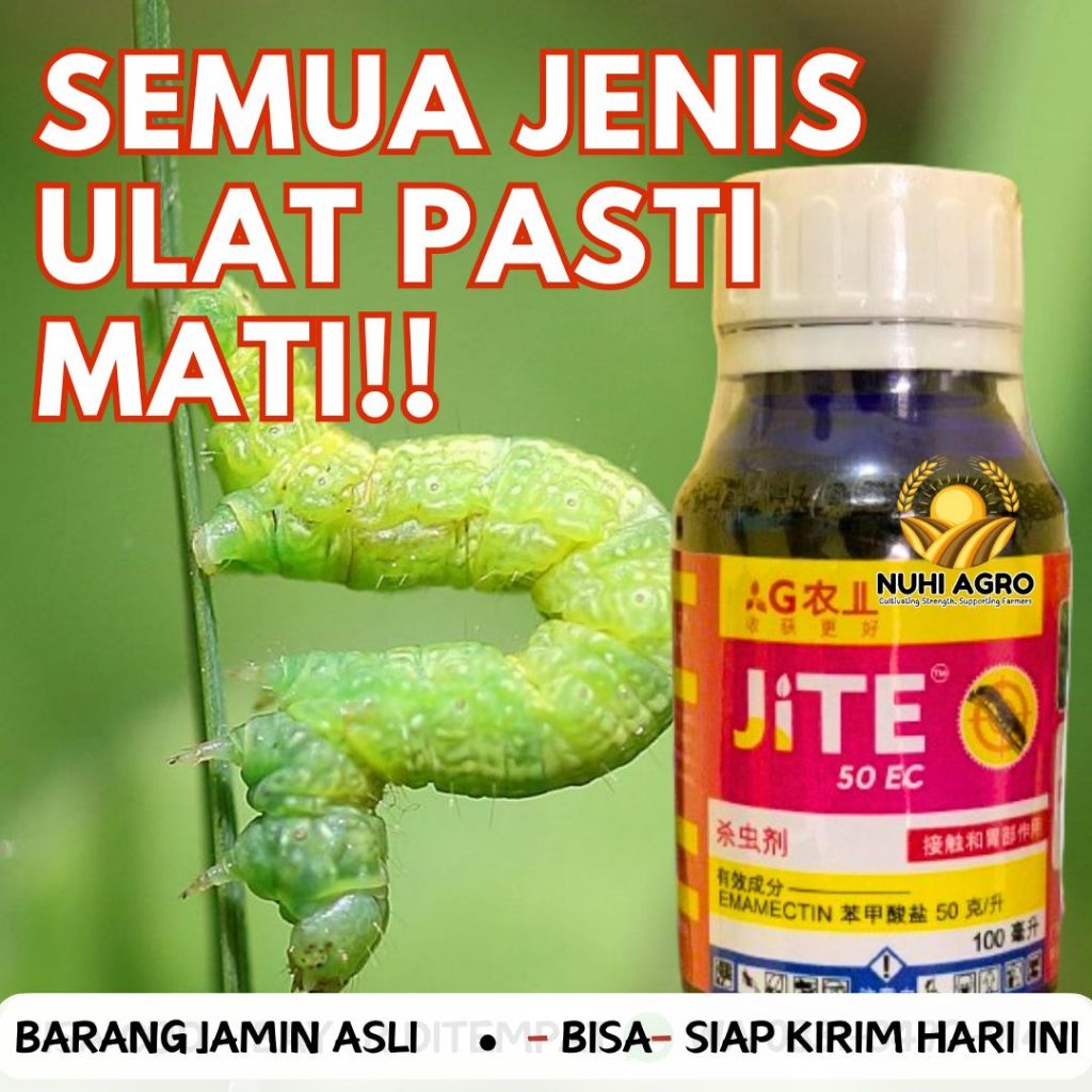 Jual JITE INSEKTISIDA ORIGINAL OBAT HAMA SPESIALIS PEMBASMI ULAT GRAYAK ...
