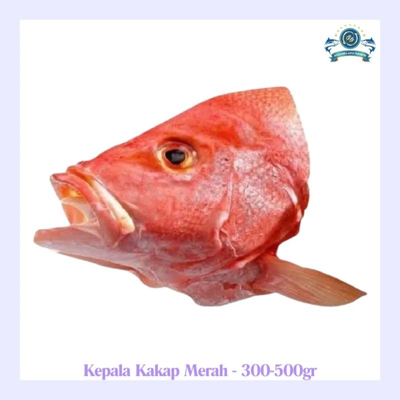 Jual Frozen kepala kakap merah ( 300 - 500 gram) | Shopee Indonesia