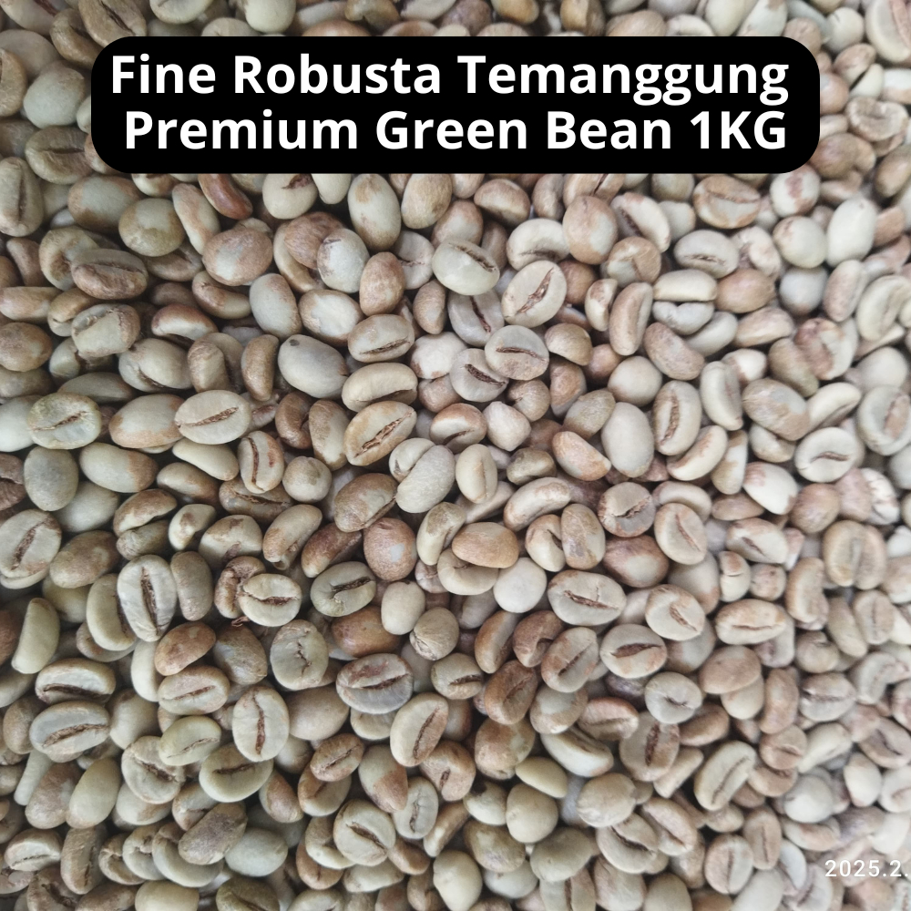 Jual Green Bean Fine Robusta Temanggung Biji Kopi Mentah Premium 1KG ...