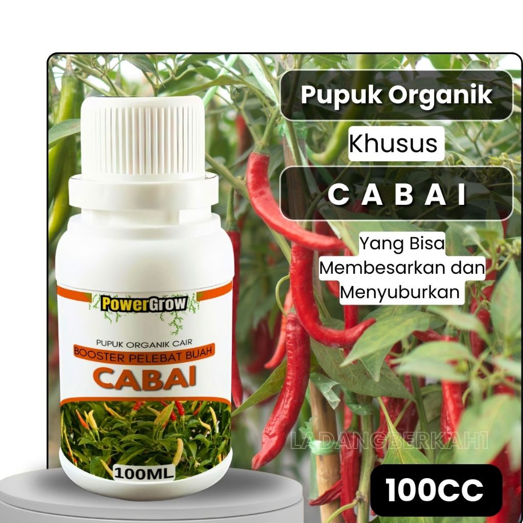 Jual Pupuk Cabai Rawit Cabai Merah Penyubur Dan Pelebat Buah Booster Cabai Pemacu Pertumbuhan ...