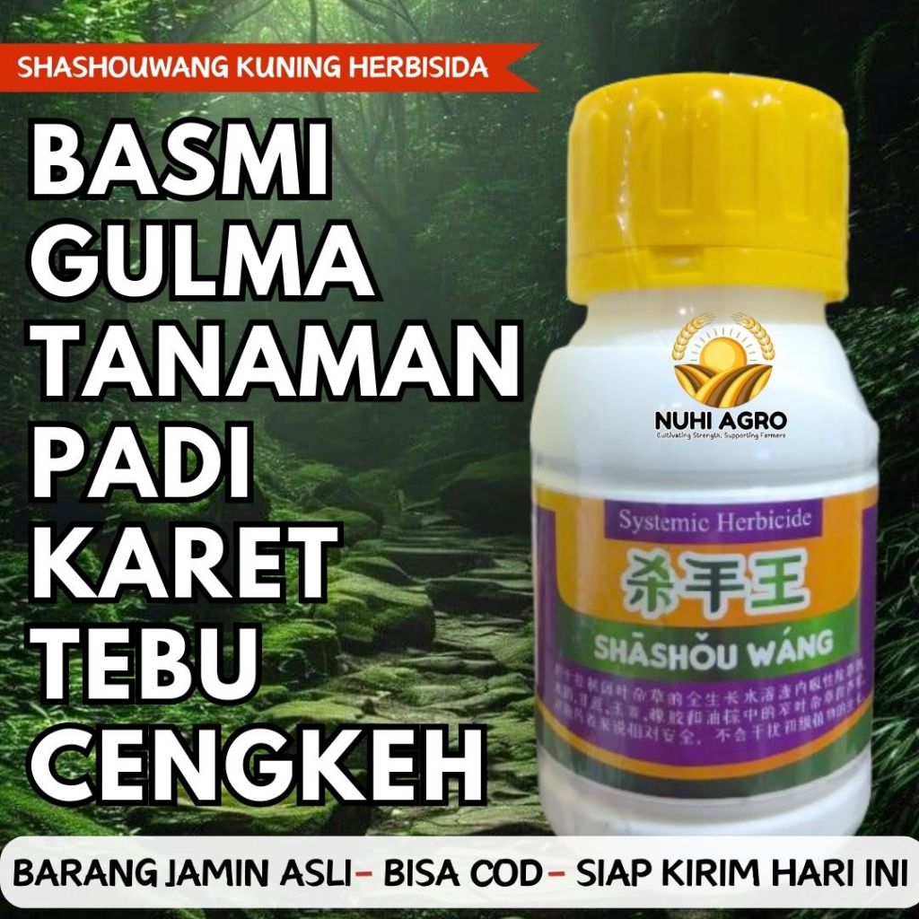 Jual SHASHOUWANG UNGU HERBISIDA SISTEMIK SELEKTIF 200ML PEMBASMI GULMA ...