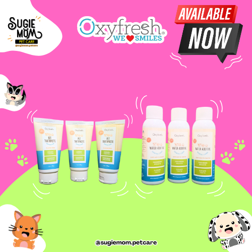 Jual Oxyfresh Gel Untuk Luka Gusi / Sariawan / Mulut Hewan / Odol / Pet ...
