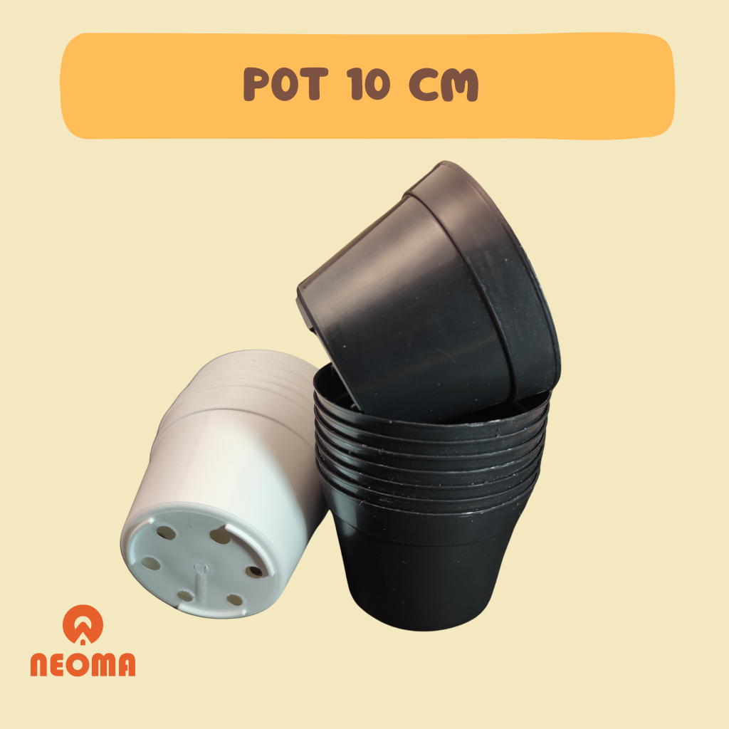 Jual Pot Bunga 10cm Pot Tanaman Pot Sukulen Neoma Pot Kaktus Aesthetic ...