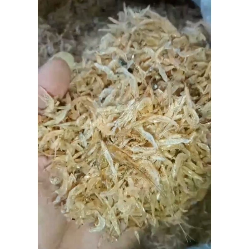 Jual udang rebon kering asli tawar kecil super | Shopee Indonesia