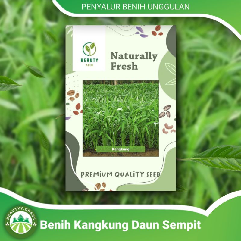 Jual 250 Bibit Kangkung Daun Sempit Serimpi Super Benih Tanaman Sayuran ...