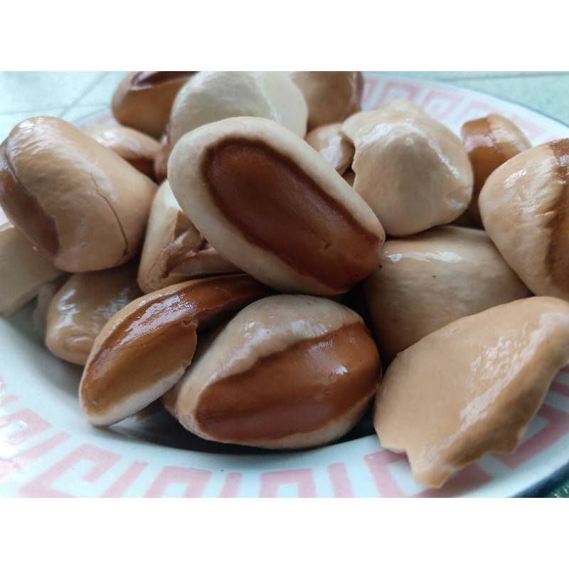 Jual Buah kluwek/Buah picung segar - 500g | Shopee Indonesia