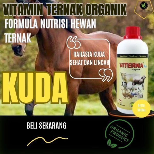 Jual Vitamin Kuda / Vitamin dan Mineral Khusus Kuda / Vitamin Penggemuk ...
