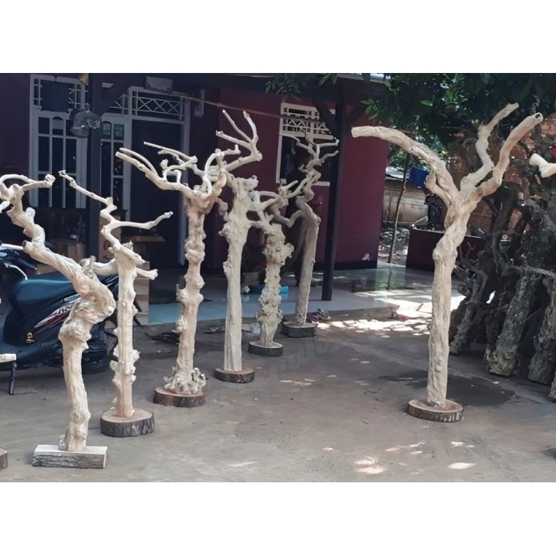 Jual Tangkringan Burung ranting banyak dari pohon kayu kopi/Tangkringan ...