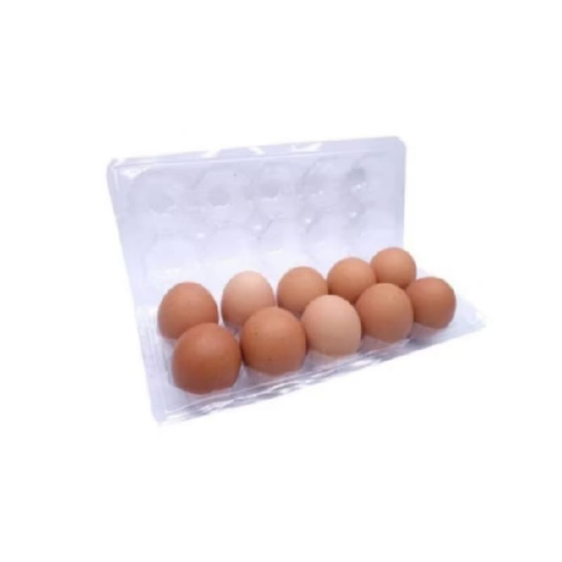 Jual Telur Ayam 10 butir | Shopee Indonesia