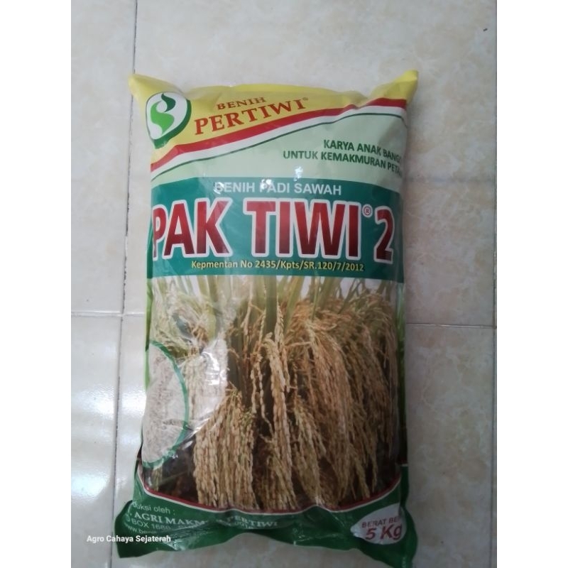 Jual Benih Padi Unggul PAK TIWI 2 PERTIWI Bersertifikat 5 Kg | Shopee Indonesia