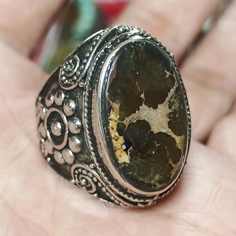 Jual Pirus hitam persia serat mas | Shopee Indonesia