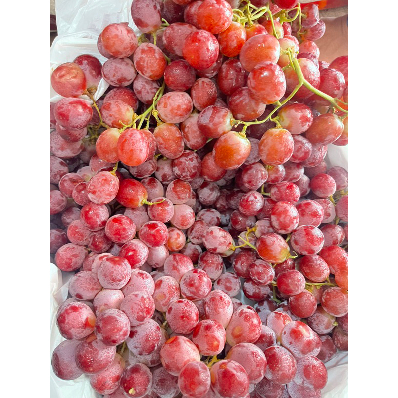 Jual anggur merah aust manis biji kecil 1/2 kg | Shopee Indonesia