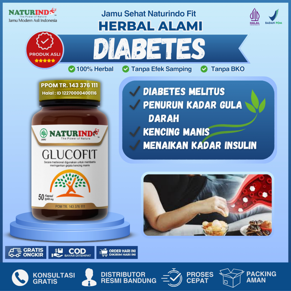 Jual Obat Herbal Diabetes Diabet Kencing Manis Gula Darah Tinggi ...
