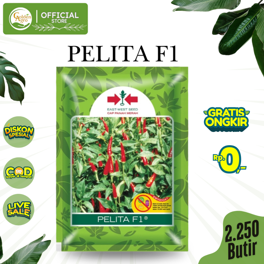 Jual BENIH BIBIT CABAI CABE PELITA F1 2250BUTIR BUTIR RAWIT TAJI ...
