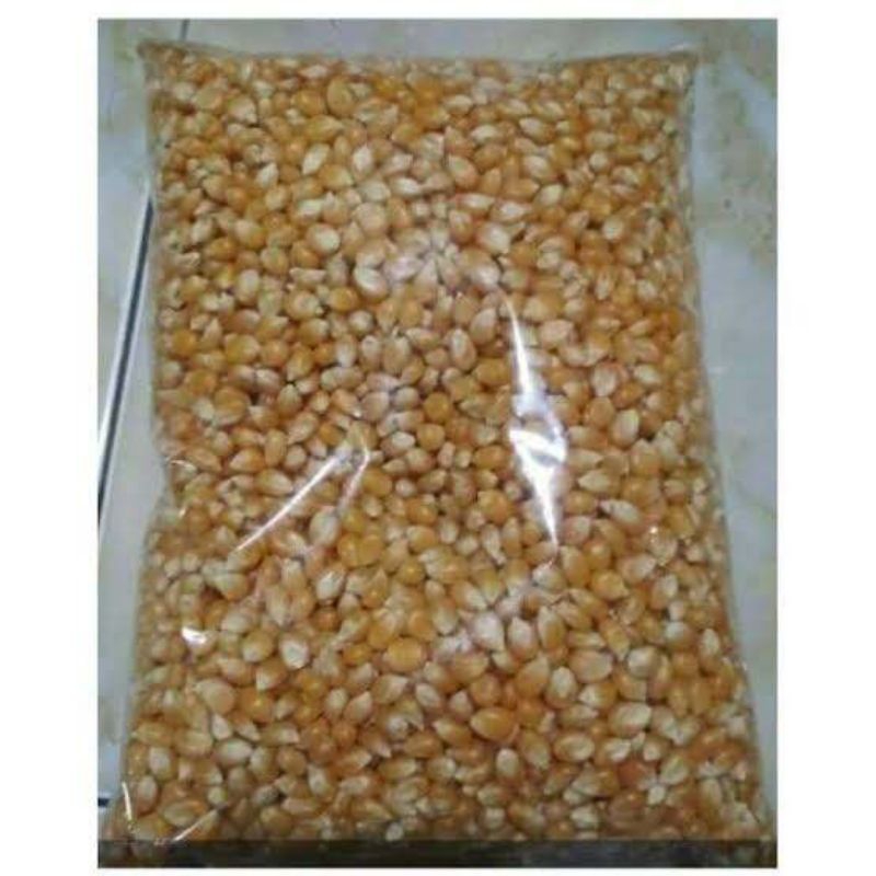 Jual popcorn pangan jagung mentah 1 kg merk bintang kualitas super ...
