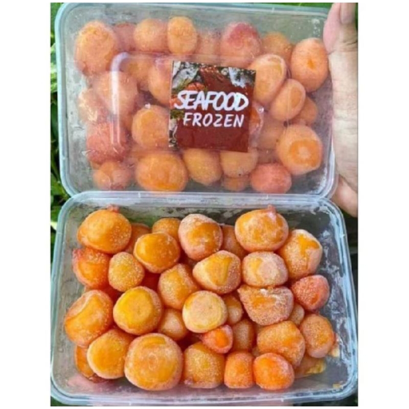 Jual Uritan telur ayam, telur ayam muda fresh beku berat 1kg | Shopee ...