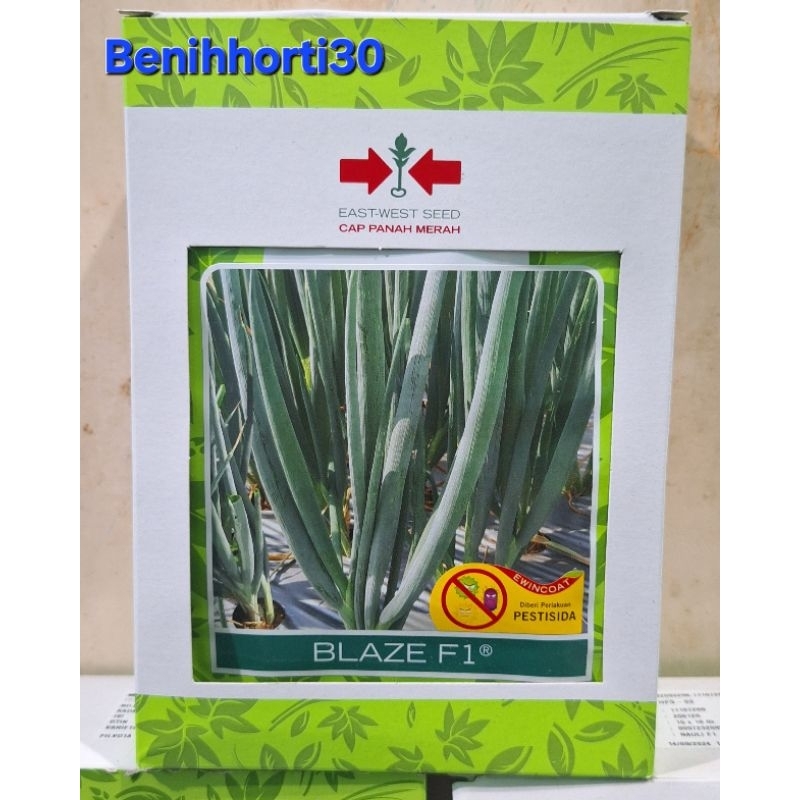 Jual 1 Kotak / 10 Bks Benih Daun Bawang Blaze F1 isi 10 gram | Shopee ...