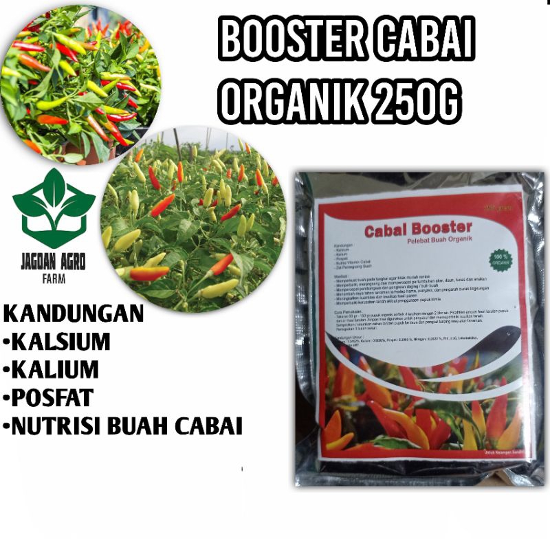 Jual Pupuk Cabai Booster Penyubur Pelebat Anti Rontok Buah 250g - Pupuk Organik Cabai - Nutrisi ...