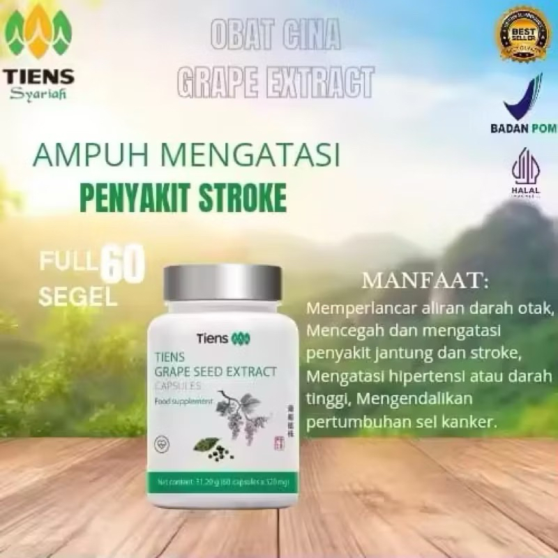 Jual Obat Herbal Stroke - Lumpuh Sebelah, Darah Tinggi, Vertigo ...